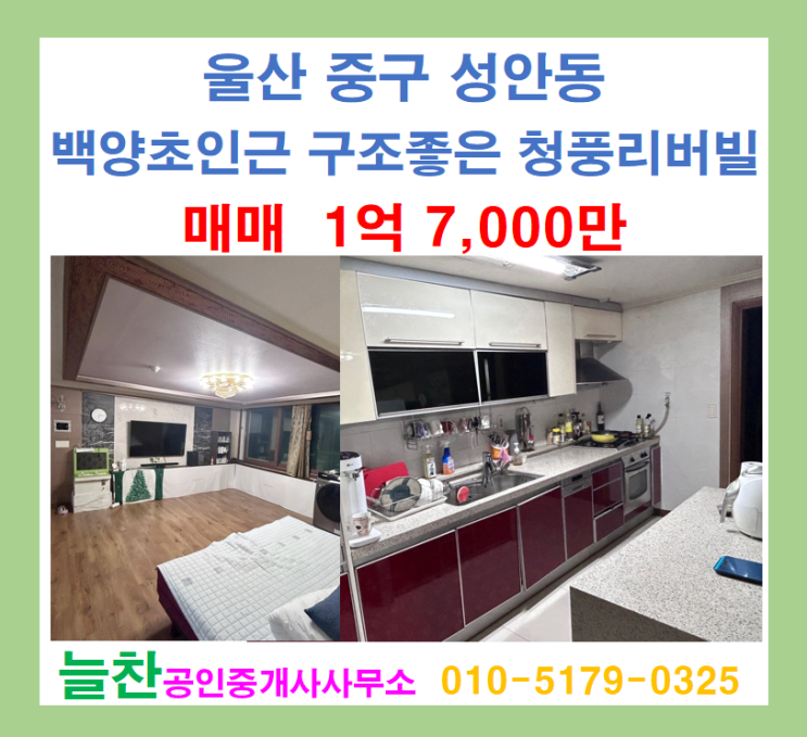 울산 중구 성안동 백양초인근 구조좋은 청풍리버빌 로얄층 매매 성안동부동산 늘찬부동산 네이버 블로그