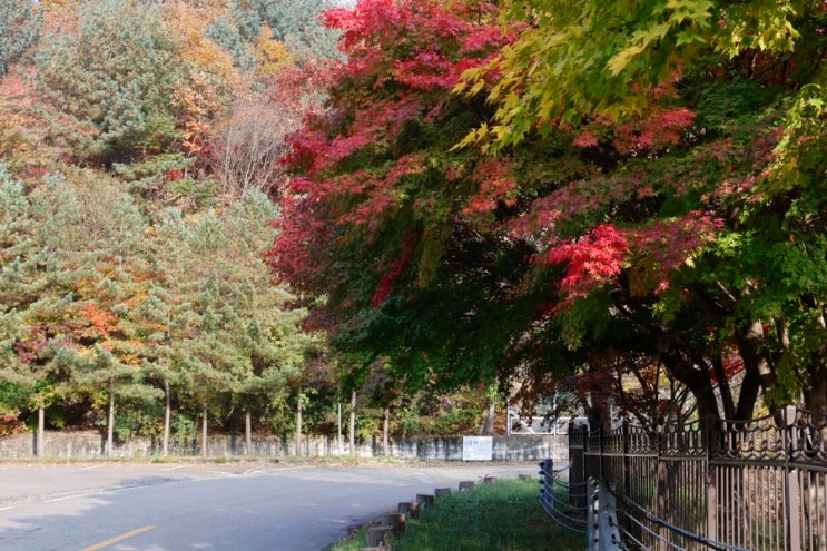 전북무주 단풍명소 적상산 단풍상황 절정 천일폭포 안국사 적상산 사고지유구 네이버 블로그