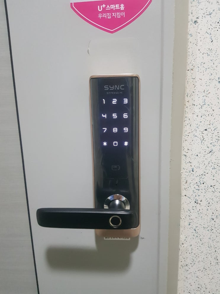 기장열쇠 정관 해모로아파트 솔리티 M700b 지문인식 도어락설치 네이버 블로그