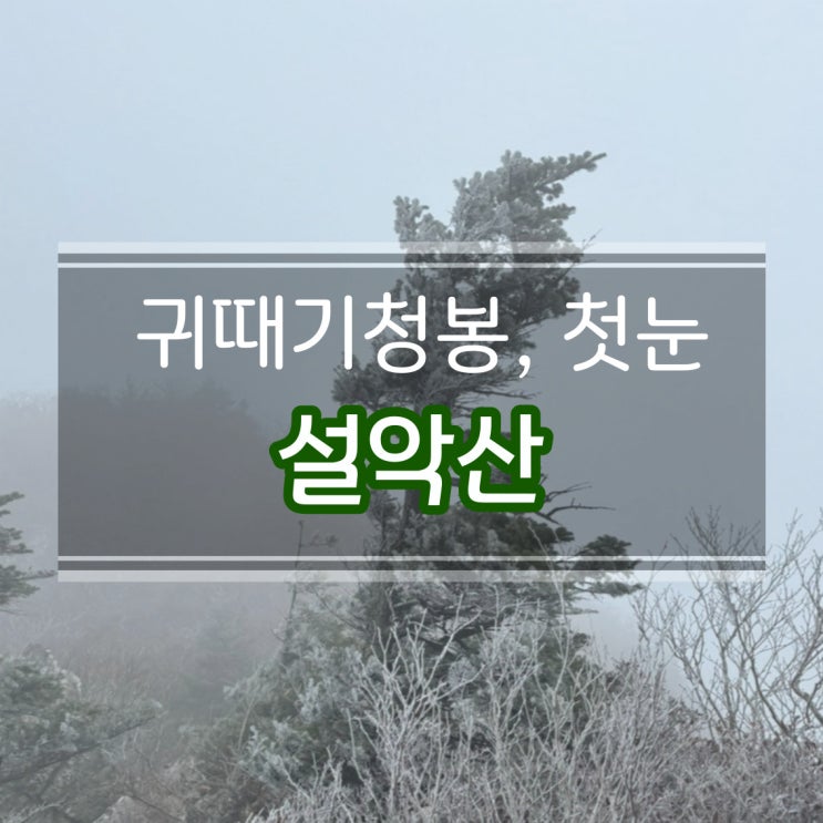 뜻밖의 첫눈 설악산 무박 혼등일기 한계령~서북능선~귀때기청봉~장수대 네이버 블로그