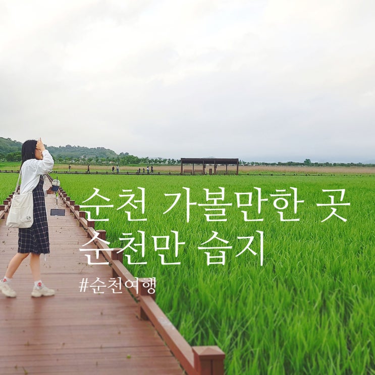 전라도여행 순천국제박람회 순천만 습지 일몰 노을이 예쁜 갈대밭 여행지 순천 가볼만한 곳 네이버 블로그