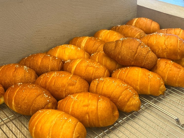 마곡발산 대형 베이커리 카페 합리적인 가격 ‘밀화당 강서직영점 네이버 블로그