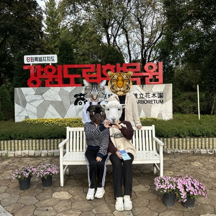 춘천여행기 1부제 가을에 듣는 언더워터 녹색시간 파머스가든 강원특별자치도립화목원 네이버 블로그