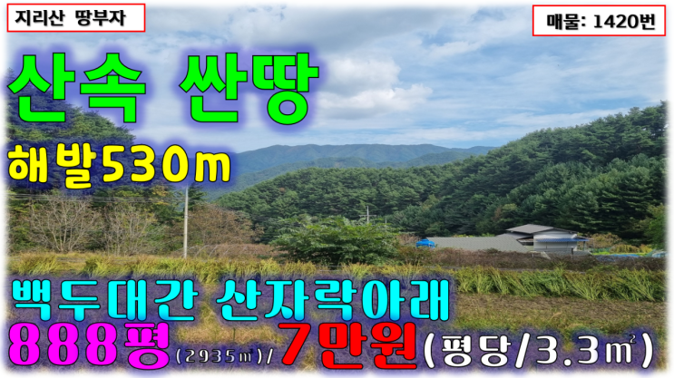 해발530m 청정지역 산속 조용한 곳 함양군 토지 매매함양부동산함양땅매매함양군 백전면부동산함양군시골땅거창토지매매산청
