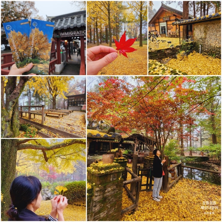남이섬 단풍 11월 여행지 춘천 가볼만한곳 얼리버드 입장권 할인 주차비 할인 And 맛집 그리고 날씨와 옷차림 네이버 블로그