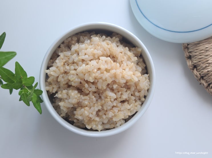 현미밥짓는법 다이어트 현미밥 소주 활용 전기밥솥 : 네이버 블로그