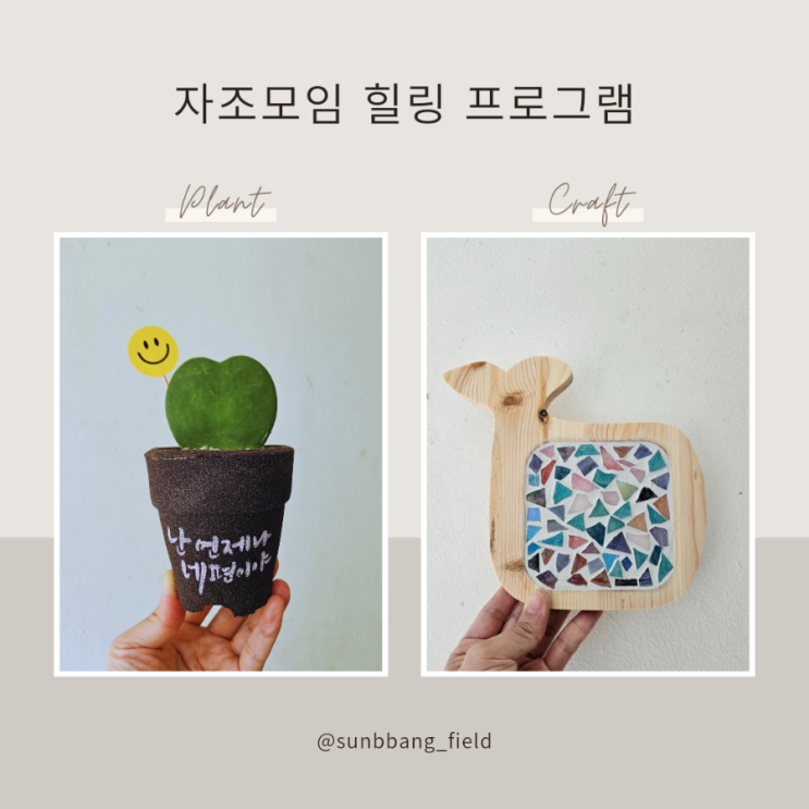 제주힐링강의 공예 원예 수업 단체수업 출강 컬러테라피 원예테라피 프로그램 제주 단체키트판매 네이버 블로그