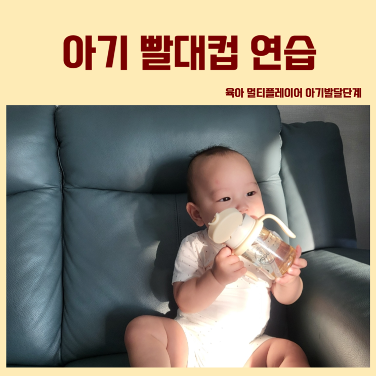 8개월 아기 빨대컵 연습 한번에 성공하는 방법 영상으로 보세요 Ft 개인적으로 릿첼보다 블루마마 네이버 블로그