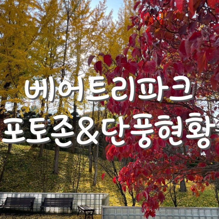 가을 단풍 여행 코스 베어트리파크 티켓예약 주차 주변 맛집 포토존 단풍현황 네이버 블로그