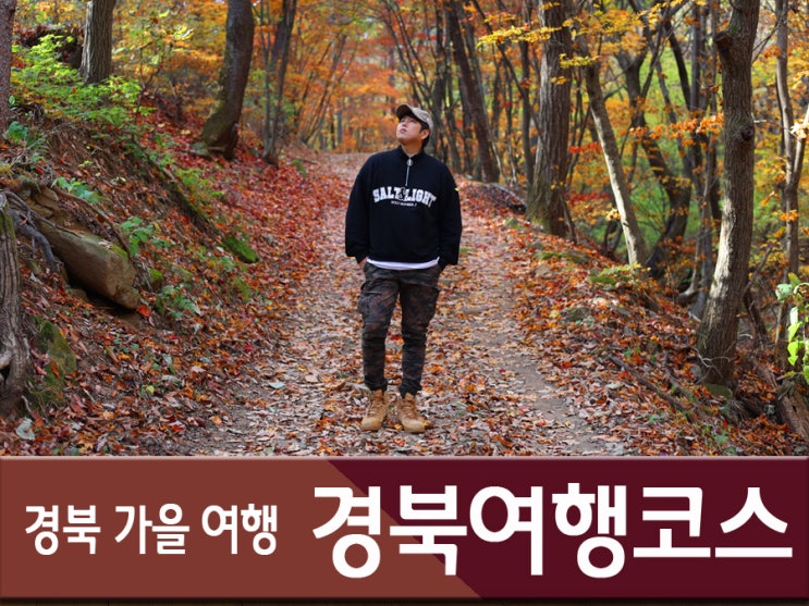 경북 가을 여행 코스 문경새재 도립공원 경주 불국사 천년숲정원 김천 직지사 네이버 블로그