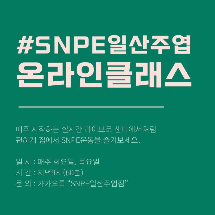 [SNPE 온라인 클래스 안내] : 네이버 블로그