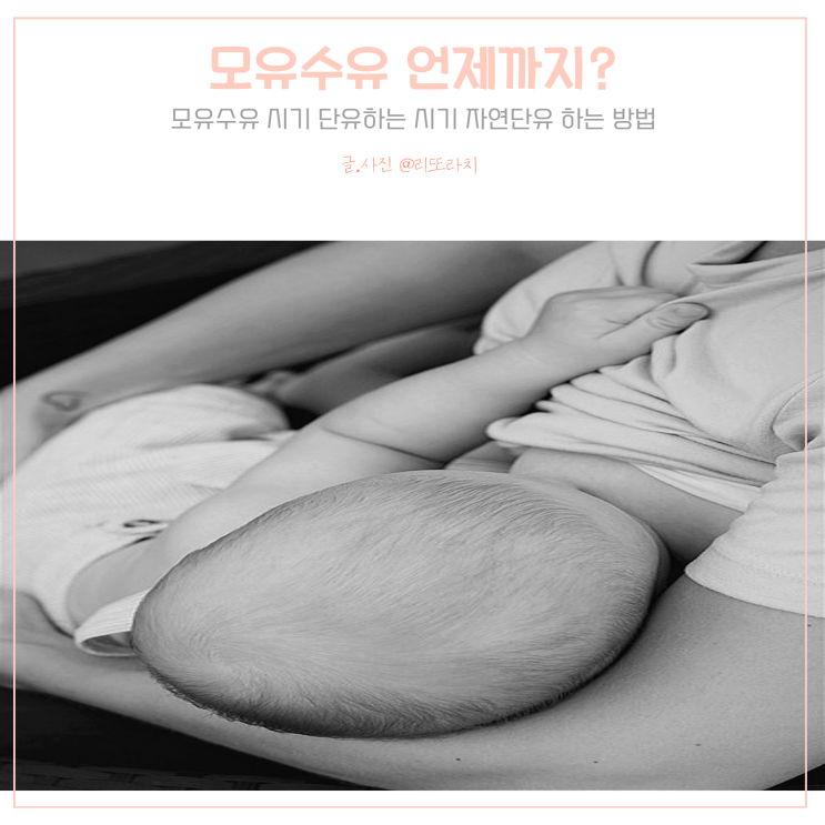 모유수유 언제까지 단유하는시기 자연단유하는 방법 네이버 블로그