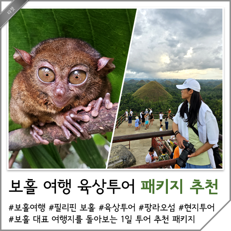 필리핀 보홀 여행 육상투어 안경원숭이 로복강 초콜릿힐 코스 가격 네이버 블로그