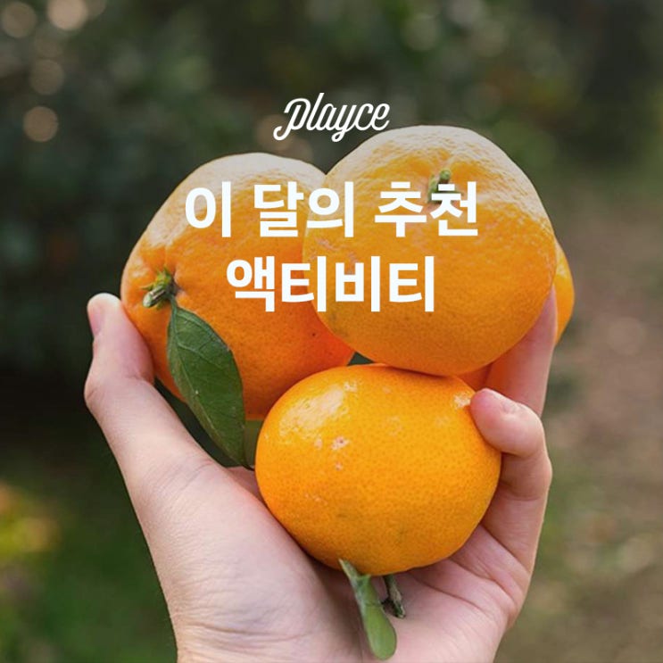 11월 추천 액티비티 제주의 늦가을의 정취를 느끼며 소소한 11월의 제주여행 플레이스 캠프 제주 플레이스 액티비티
