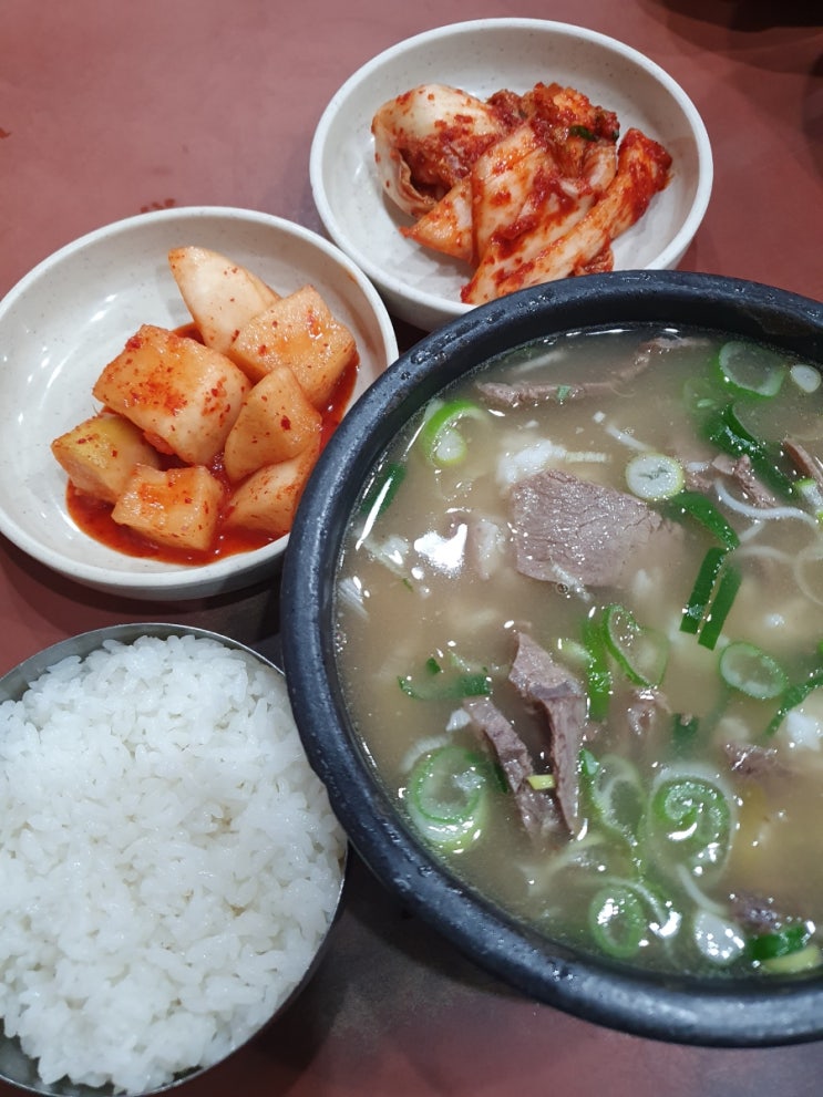 종로 곰탕 맛집 영춘옥 알게 된 계기춘천 마라톤 위치종로3가역 근처 메뉴곰탕 And 가격 솔직한 맛 평가
