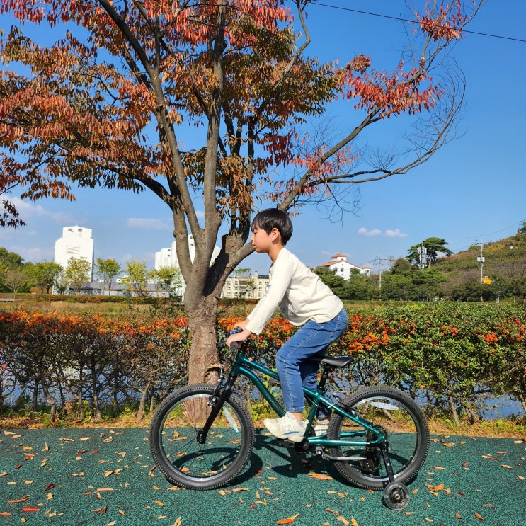 오래타는 어린이자전거 20인치 브랜드 마이크로바이크 20인치 자전거로 선택 네이버 블로그