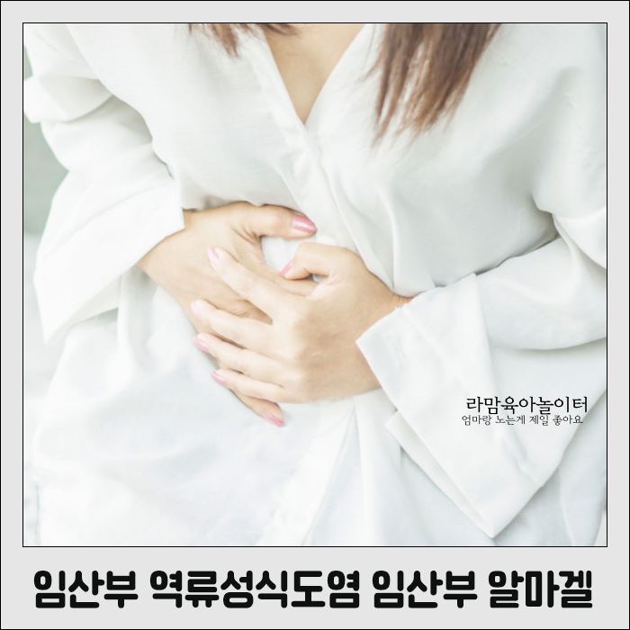 임산부 역류성식도염 속쓰림 소화불량 약 임산부 알마겔 복용은 네이버 블로그
