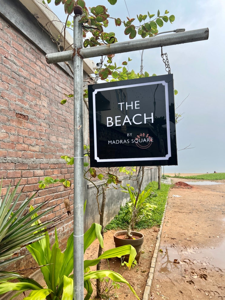 인도 첸나이 바다 앞 분위기가 좋은 신상 레스토랑, 제2호점 더 비치 바이 마드라스 스퀘어 'The Beach by Madras Square'. : 네이버 블로그
