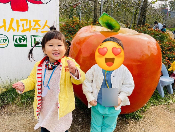 포천 아기랑 사과따기 체험 사과깡패 내돈내산 맛나요 네이버 블로그