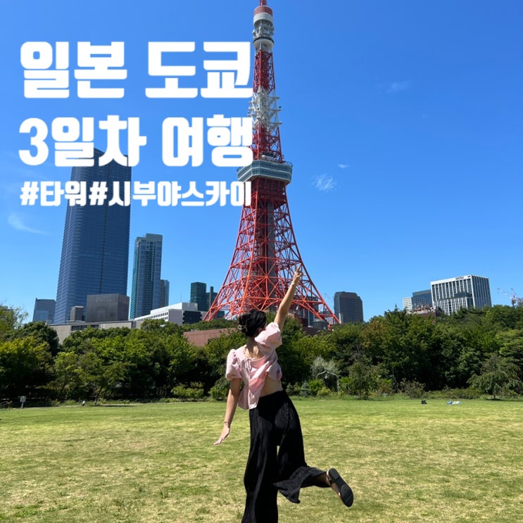 일본 도쿄 여행일기 3일차 도쿄타워 시바공원부터 시부야스카이 기록하기 ♡ 네이버 블로그