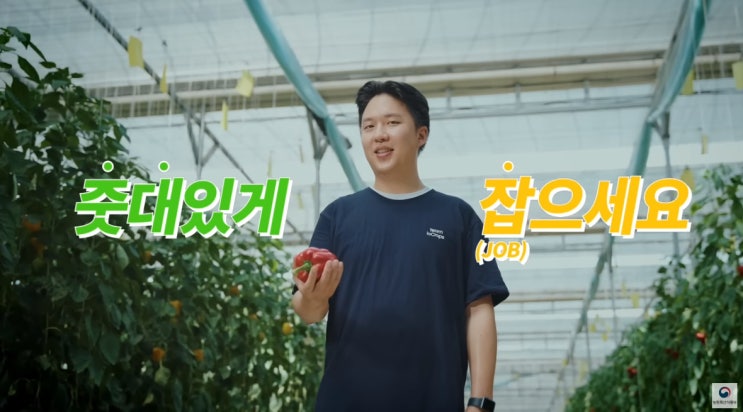 미래유망직업 스마트팜 나는 농업∙농촌에서 갓생굿잡 네이버 블로그