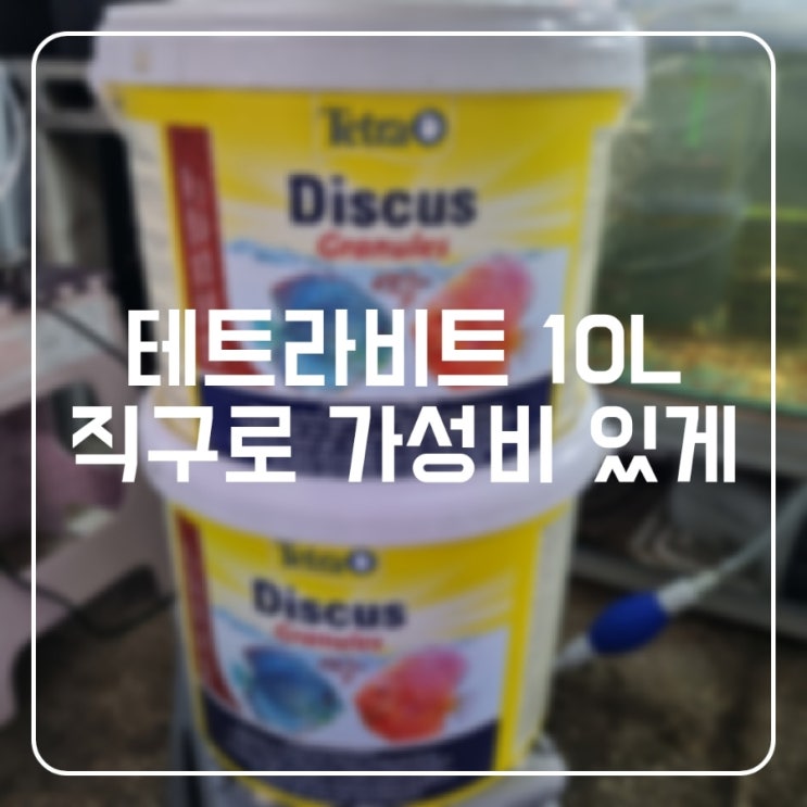 테트라비트 10L 직구로 가성비 있게 : 네이버 블로그