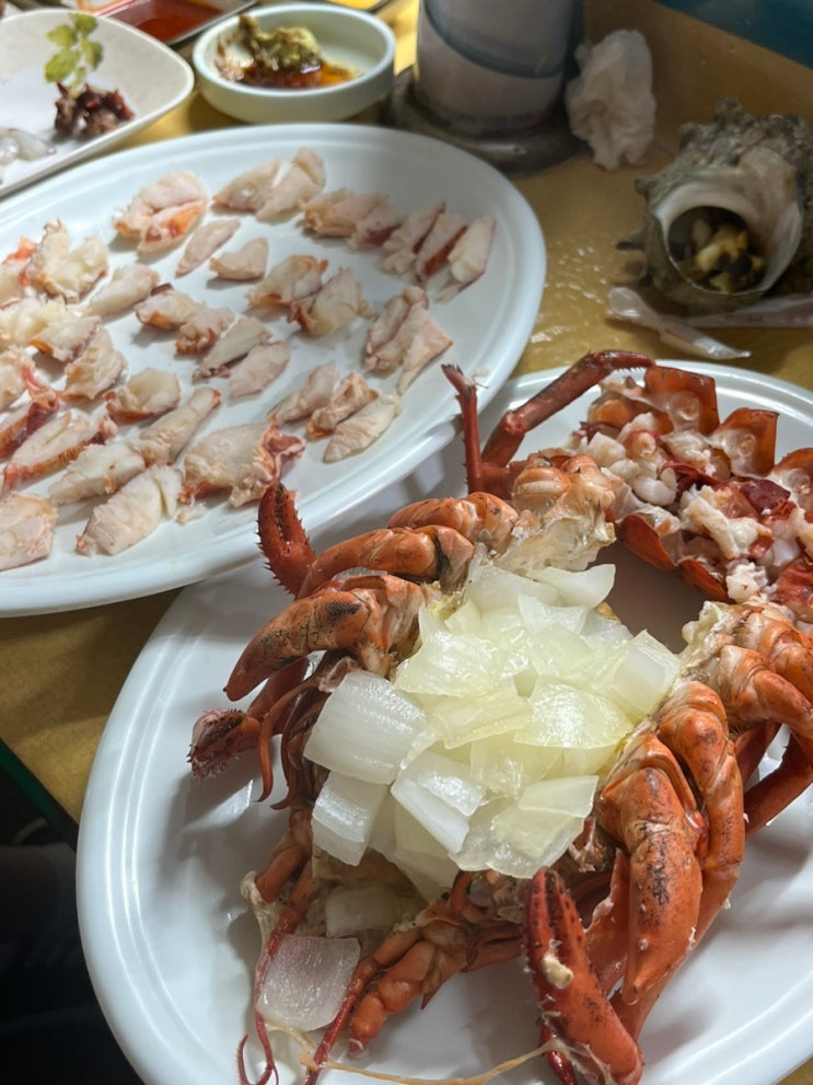 부산 해운대 노상에서 즐기는 랍스터 코스요리 포장마차촌⛱️n번째 방문한 갈매기5호 네이버 블로그