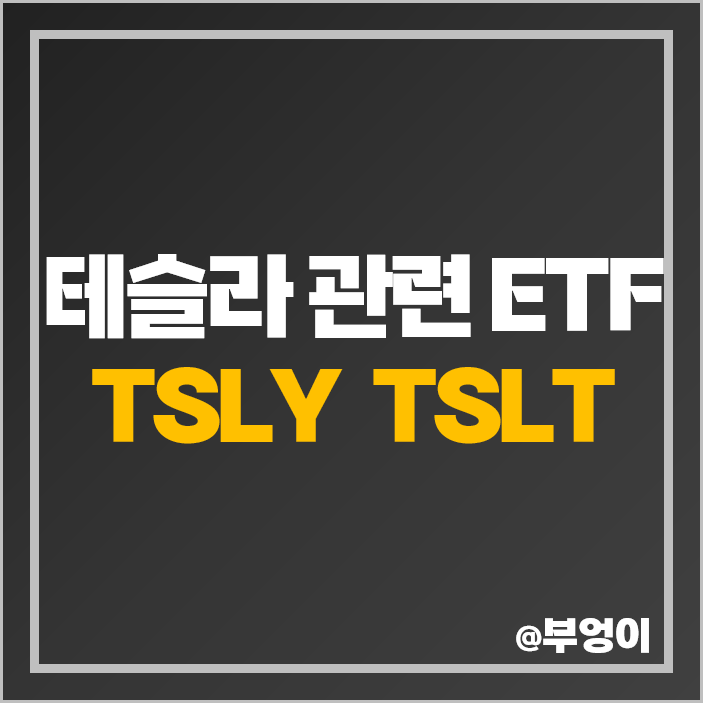 테슬라 관련주 미국 레버리지 ETF 투자 방법 TSLT 커버드콜 TSLY : 네이버 블로그