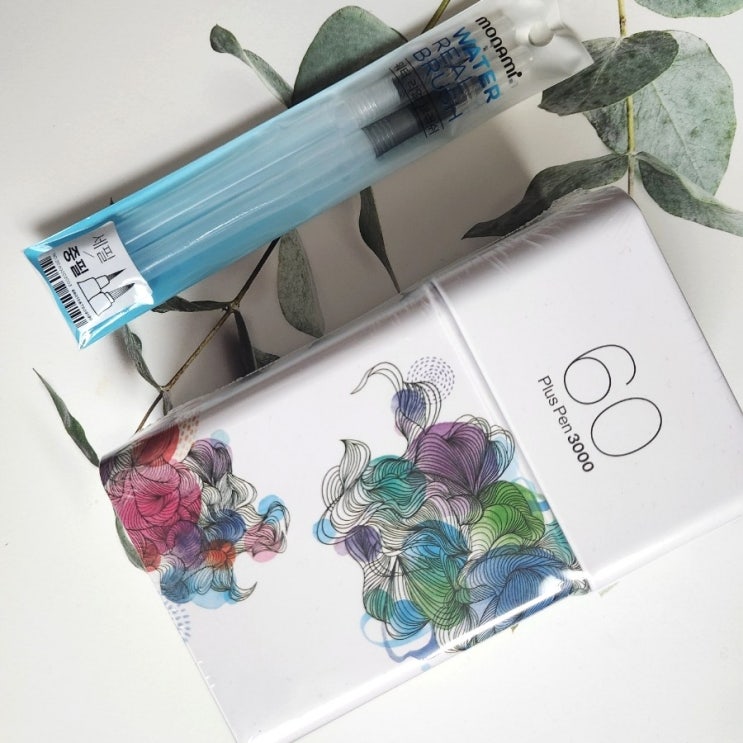 모나미 Plus Pen 3000 60색 세트 리뷰 | 미술 도구 선물 추천 : 네이버 블로그