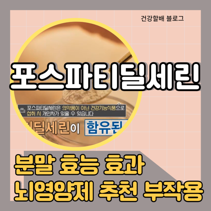 포스파티딜세린 분말 효능 효과 뇌영양제 추천 부작용 네이버 블로그