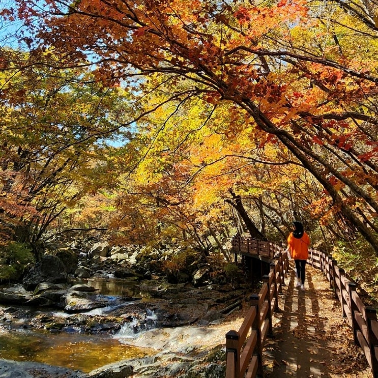 무주 여행 덕유산국립공원 무주 구천동어사길 탐방로 가을 단풍 명소 Feat백련사 네이버 블로그