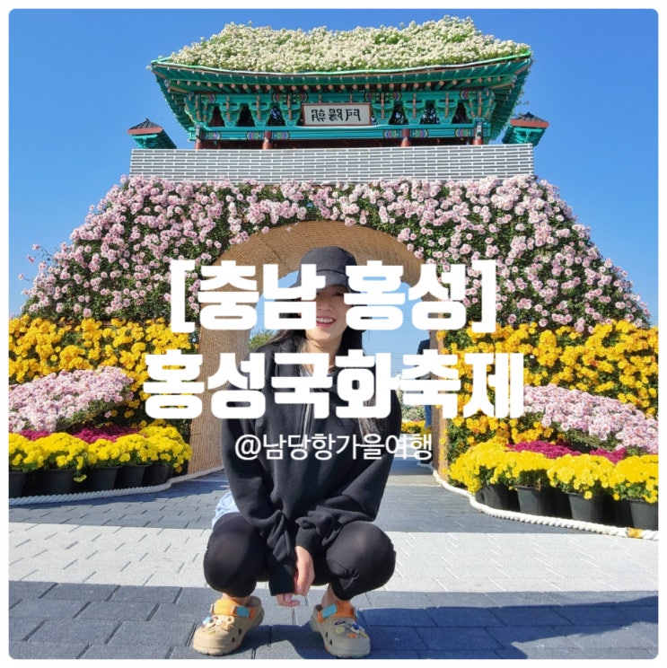 충남 홍성 남당항 가을 국화축제 정보 기간체험먹거리주차셔틀버스 네이버 블로그