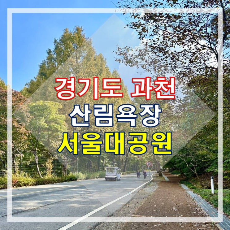 과천 서울대공원 산림욕장 둘레길 청계호수 산책로 네이버 블로그