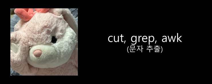 리눅스(Linux) 명령어 - cut, grep, awk (문자 추출) : 네이버 블로그