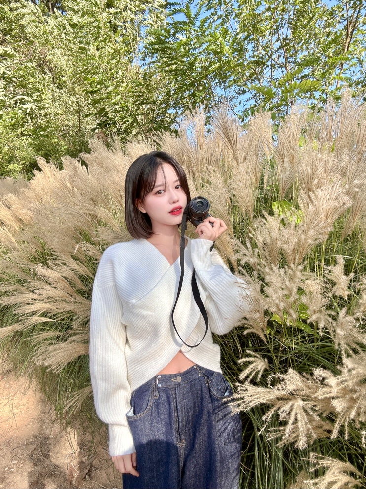 서울숲 코스모스 단풍 피크닉 돗자리 텐트 자전거 대여 길 코스 서울 사진찍기좋은곳 인생샷 놀만한곳 네이버 블로그