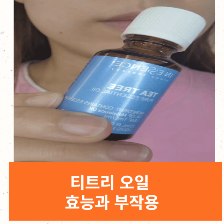 티트리 오일 부작용 효능 관리실에서 배운 티트리오일 여드름 활용법 네이버 블로그