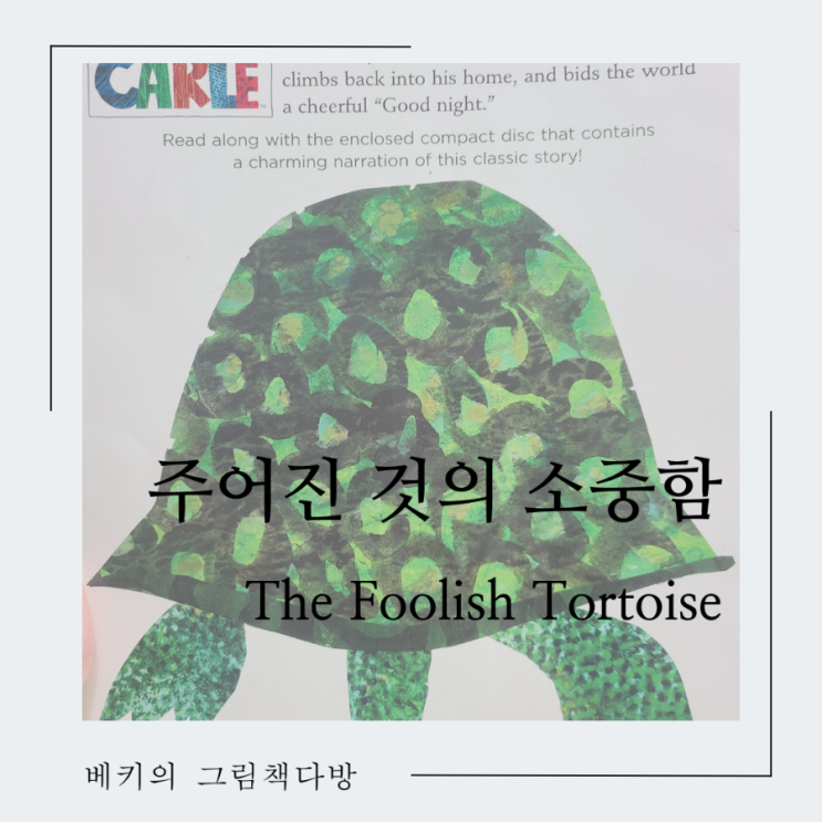 #64.The Foolish Tortoise | tortoise와 turtle의 차이는? : 네이버 블로그