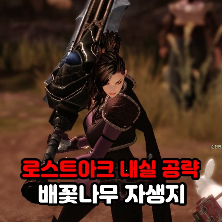 배꽃나무 자생지 모코코 위치 및 모험의서 내실 공략 로아 로스트아크 루테란 동부 네이버 블로그