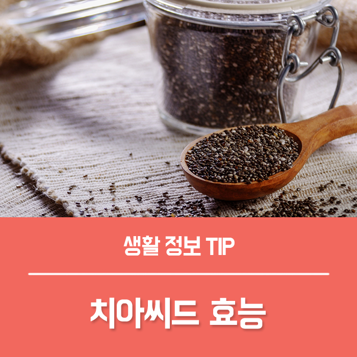 치아씨드 효능 4가지 치아씨드 먹는법 부작용은 네이버 블로그