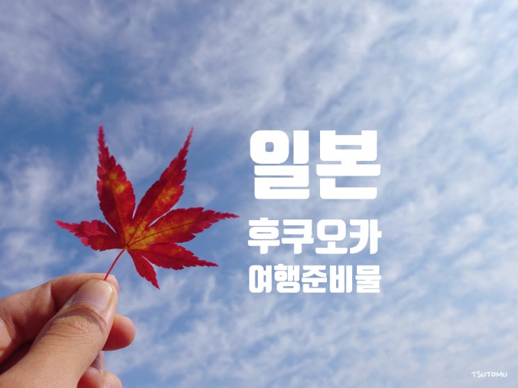 일본 후쿠오카 여행 준비물 일본 이심 유심 엔화 환전 11월 후쿠오카 날씨 네이버 블로그