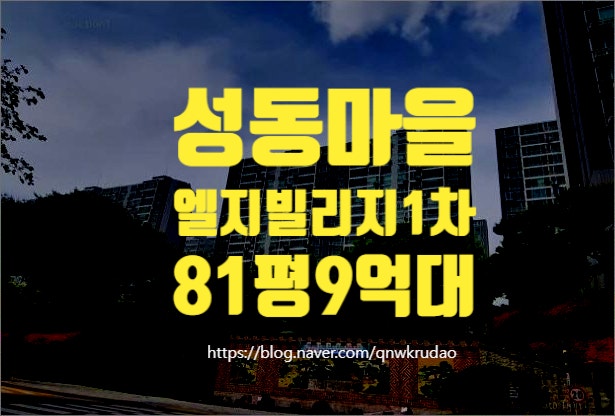 수지아파트경매 수지구 성복동 성동마을엘지빌리지1차 81평 9억대 급매 네이버 블로그