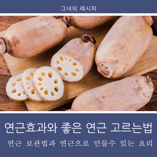 연근 효능 효과와 좋은 연근 고르는 법 네이버 블로그