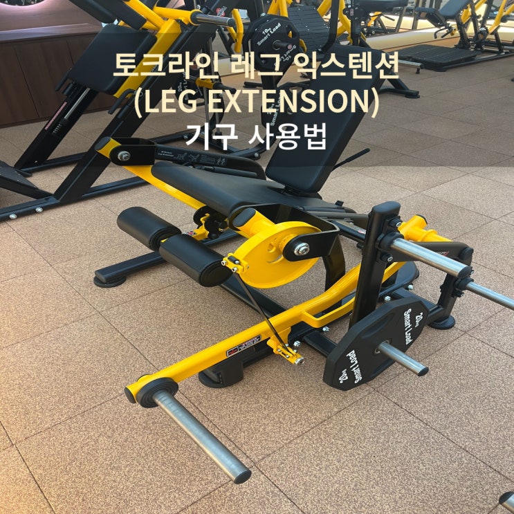 토크라인 레그 익스텐션 기구 사용법 석세스짐 광교 프라이빗점 광교헬스장 흥덕헬스장 아주대헬스장 상현헬스장 네이버 블로그