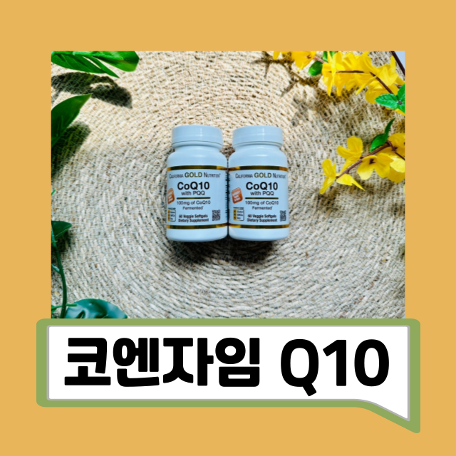 코엔자임q10 효능 및 코엔자임큐텐 부작용 고지혈증 영양제 추천 복용시간 네이버 블로그