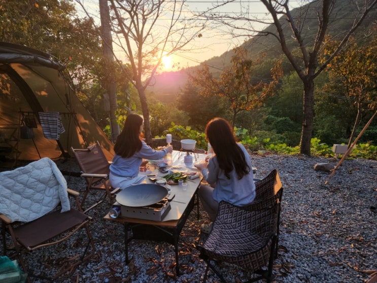 강화도 노을뷰 캠핌장 렛츠고강화캠핑장 예약방법 사이트 애견동반 🐩 네이버 블로그