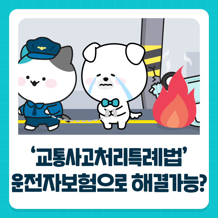 교통사고처리특례법 운전자보험으로 해결가능할까 네이버 블로그