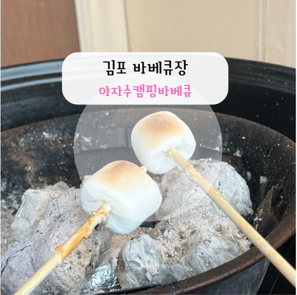 김포 바베큐장 새로생긴 야자수캠핑바베큐 내돈내산 인증 네이버 블로그
