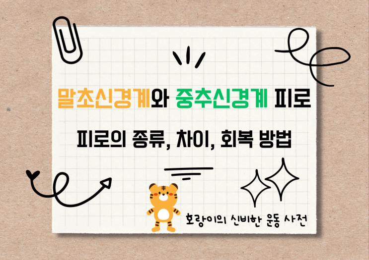말초신경계 피로와 중추신경계 피로 피로의 종류 원인 육체 피로 정신피로 차이 회복 방법 Pns피로 Cns피로