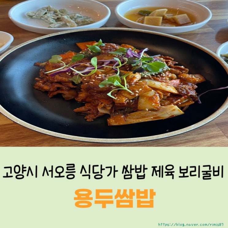 고양 이케아 서오릉 근처 맛집 신선한 쌈채소 솥밥 보리굴비 제육볶음 건강한상 용두쌈밥 네이버 블로그