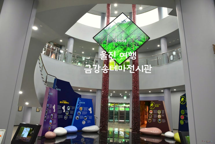 경북 울진 금강송테마전시관, 경상도 여행지 추천 : 네이버 블로그